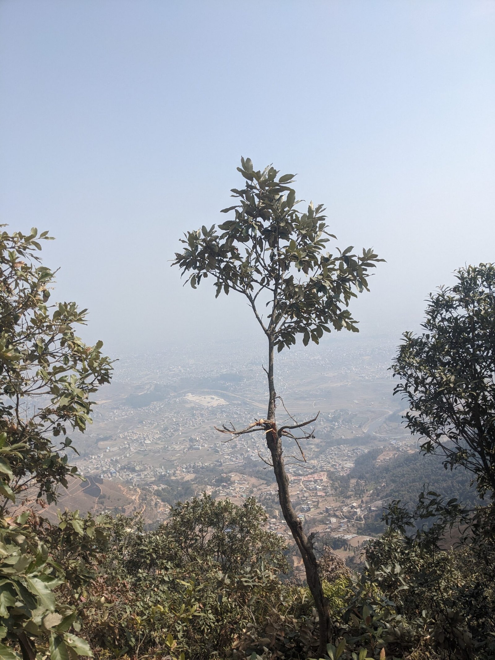 Trekking to Champadevi Temple: Everything You Need to Know - Baduwal ...